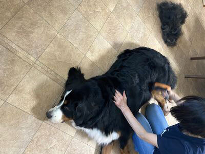 スッキリフワフワ♪: バニワン日記